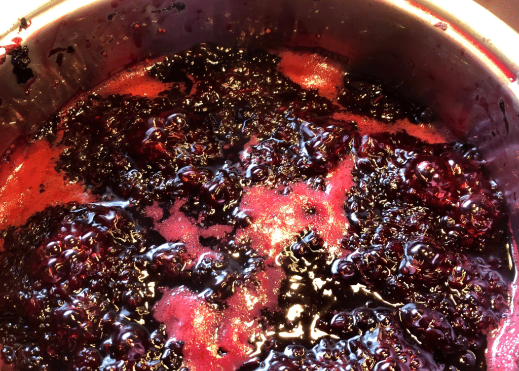 Boysenberry Syrup Recipe For Pancakes - More Momma!